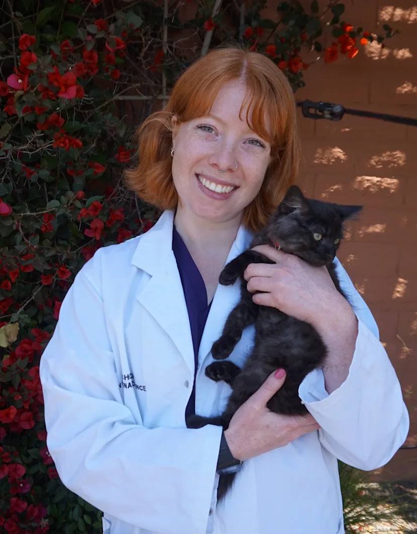 Dr. Miller | East Lake Animal Clinic Dr. Miller | East Lake Animal Clinic